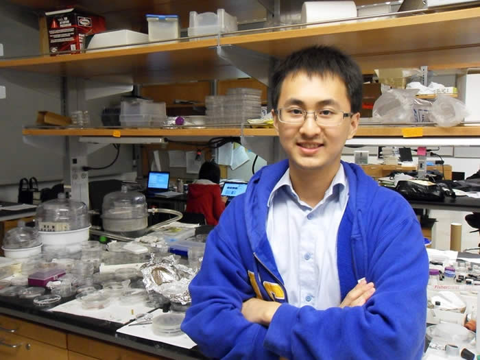 Zheng Li - Physical Optics and Electronics GroupPhysical Optics and ...